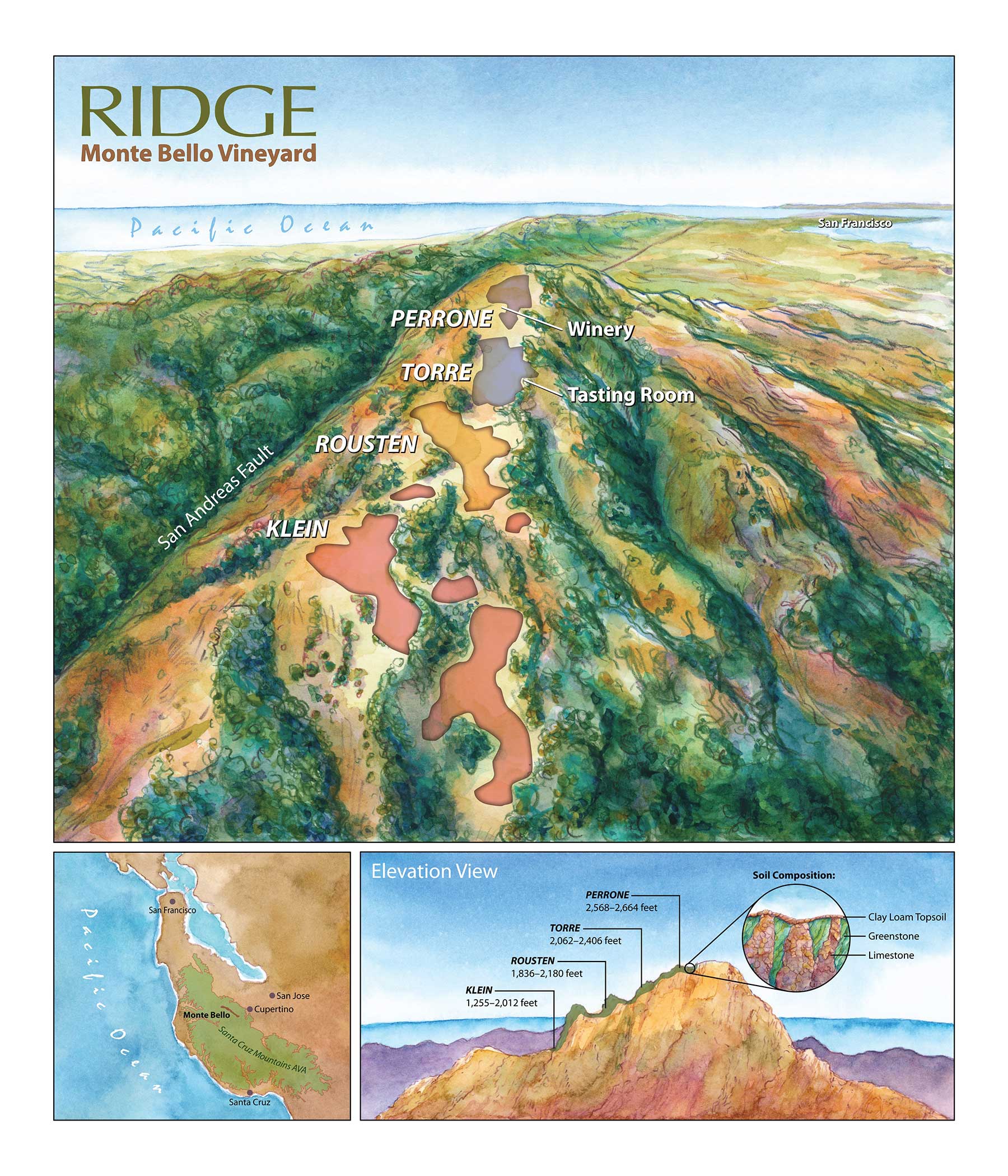 Santa Cruz Mountains AVA - Ridge Vineyards