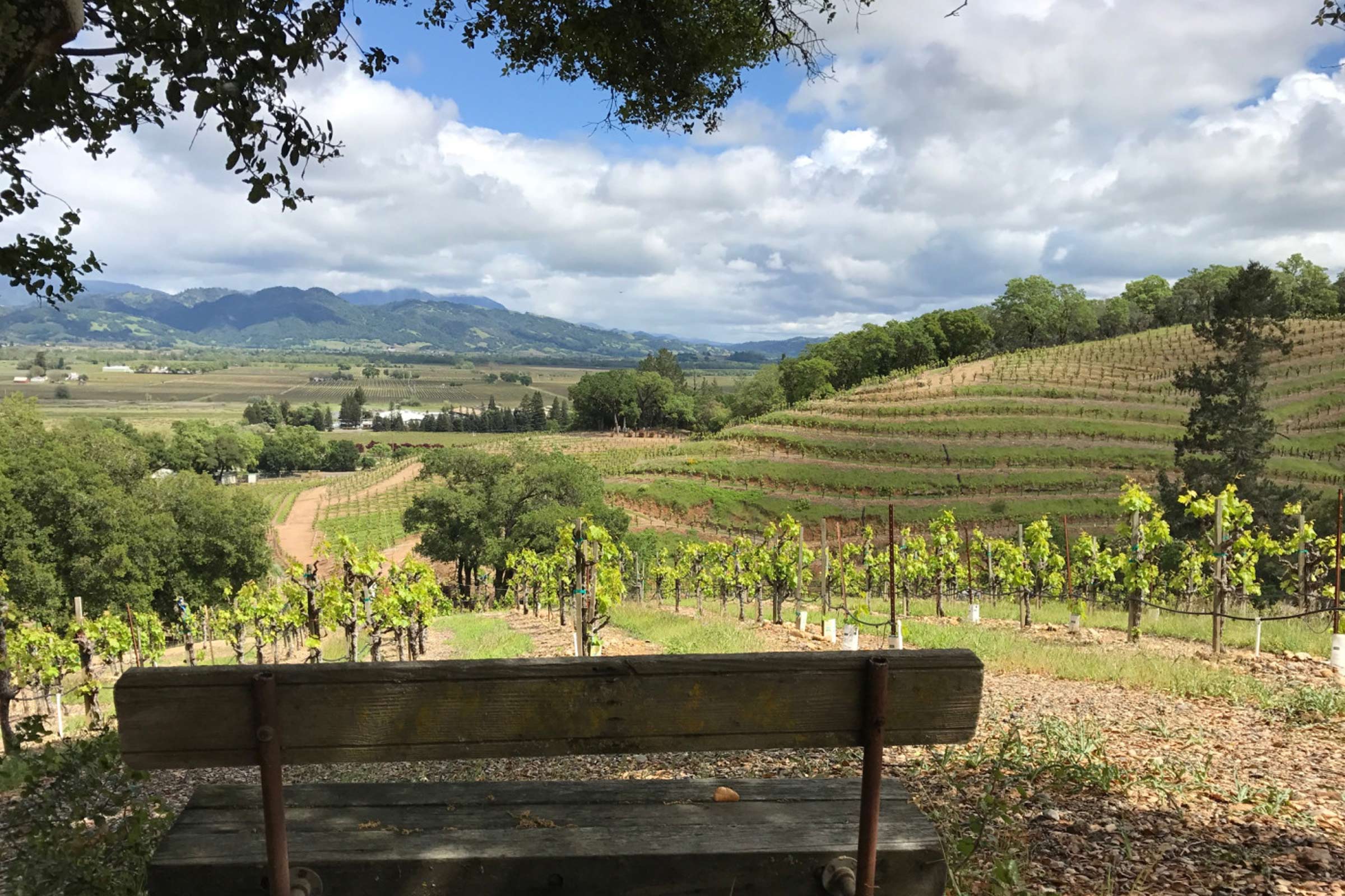The Story of Boatman Ranch - Ridge Vineyards
